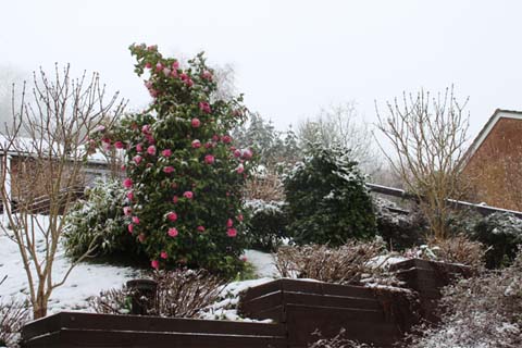 Early Spring 2023
